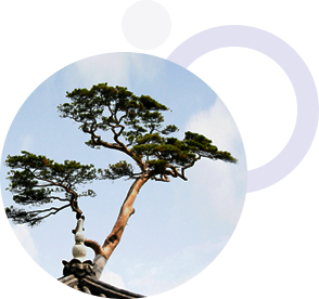 한국항공대학교 학교소개 학교안내 UI 및 상징